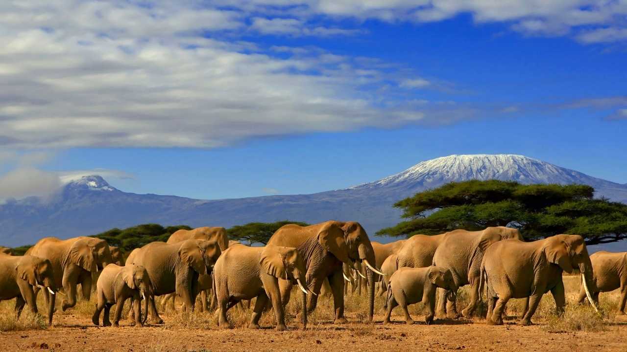 Kenya Travel Guide for the First-Time Visitors - Wander Era
